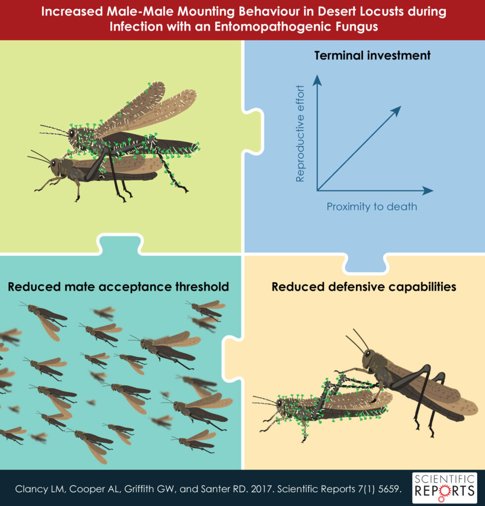 Promote your Research – Compuscript
